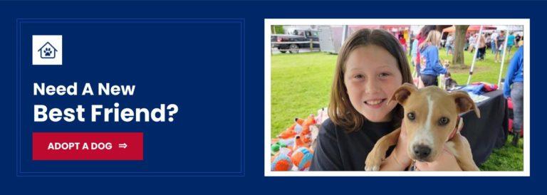 Home - Freedom First Rescue