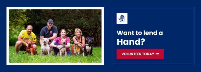 Home - Freedom First Rescue